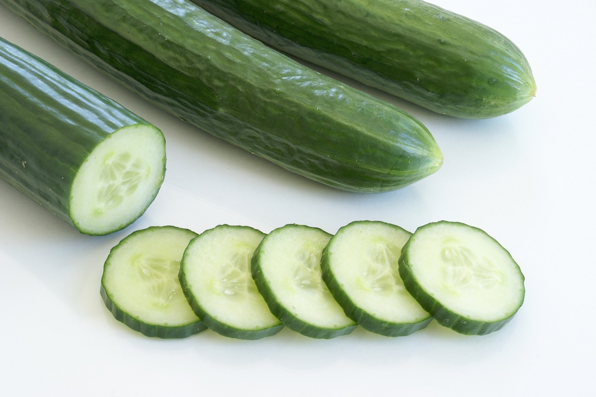 French cucumber production increases by 4% in a year