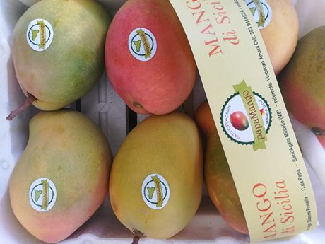 PapaMango, el mango siciliano