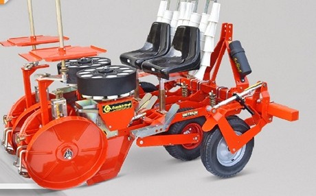 Trapiantatrici: grande novita' di Checchi e Magli