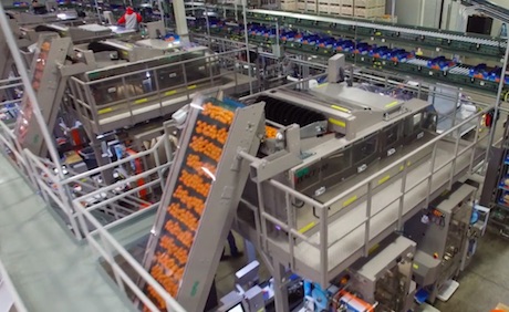 Girò focuses on sustainability with resistant and recyclable packaging