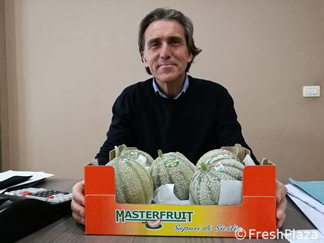 Ancora presto per la stagione del melone siciliano
