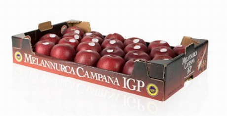 Acquistare una mela annurca a marchio IGP e' una garanzia