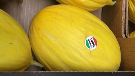 Italy: Melon and watermelon season looking good