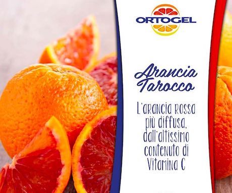 Lo scarto agrumicolo come risorsa energetica e agricola per l'industria ...