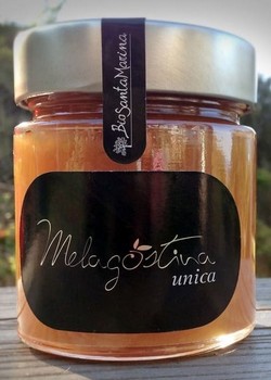 Melo Agostino: cultivar antica calabrese che punta al sigillo di ...