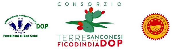 Ecco come e' stato salvato il marchio DOP del ficodindia di San Cono