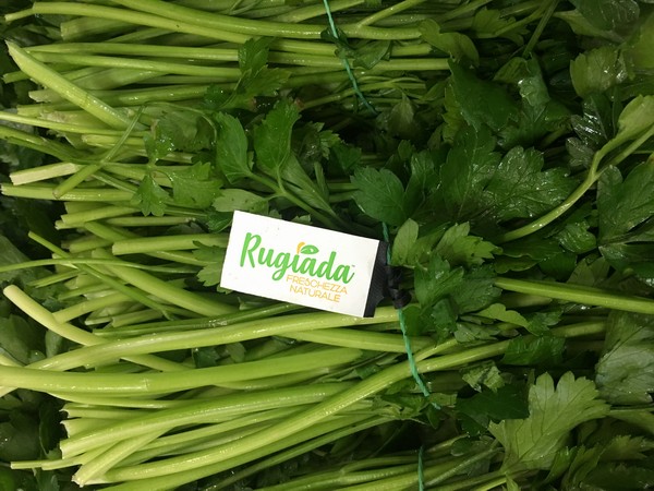 Rugiada: il nuovo brand viaggia su ElastiTag