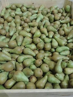 Pere Conference: la Polonia e' l’unico Paese che mantiene alto il ...