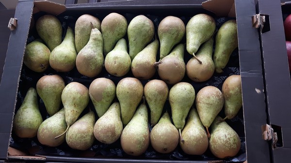 Pere Conference: la Polonia e' l’unico Paese che mantiene alto il ...