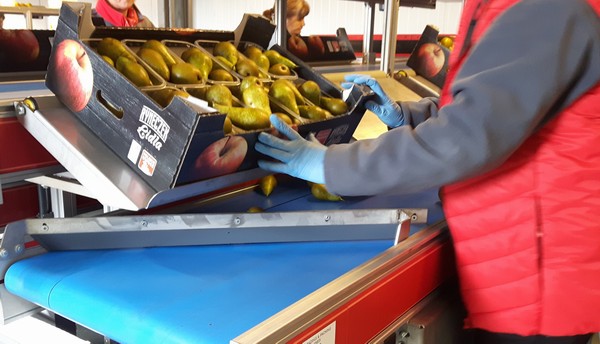 Pere Conference: la Polonia e' l’unico Paese che mantiene alto il ...