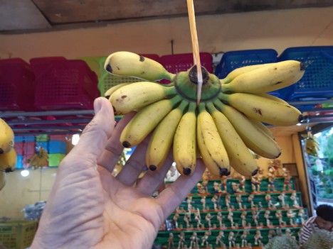 Bananitos fresche o trasformate in gelato sul momento