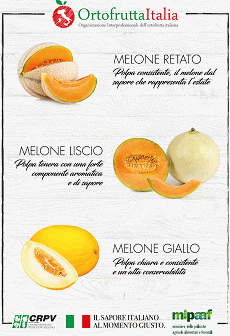 E' il momento giusto per consumare il melone nelle sue migliori tipologie