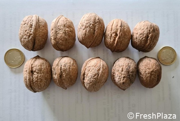 Noci: i consumatori ignorano le differenze fra le varie categorie