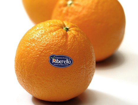 Aumenta del 31 per cento la produzione dell'Arancia di Ribera Dop