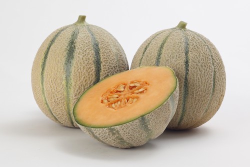 Melone Celestial: "una garanzia" tra i precoci, parola di consumatori ...