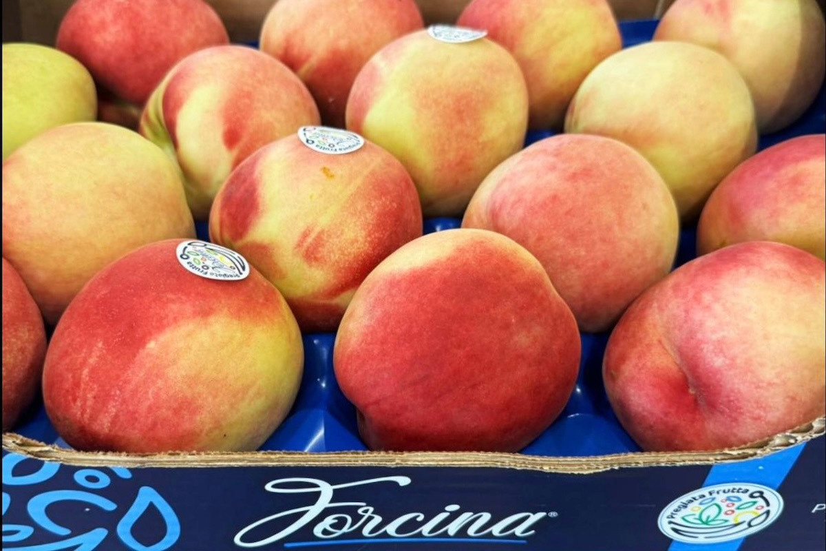 A severe water shortage is impacting producers in certain southern ...