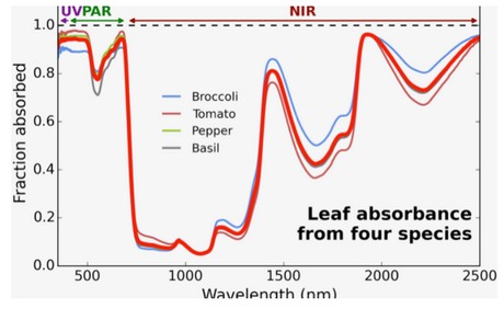 Is LED licht 'koud' licht?