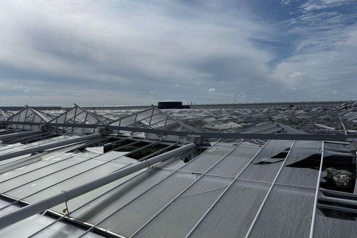 Oorzaak aangewezen voor instorten kas Agro Care