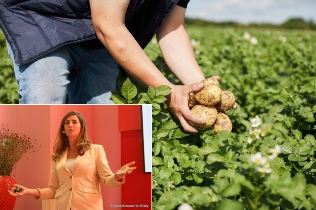 Lidl doesn't wait 'until the customer asks for it'