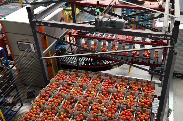 Control de calidad por IA integrado en la línea de envasado de tomates
