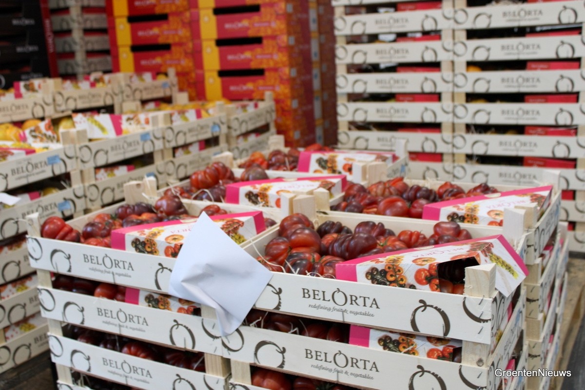 Tomato price declines after peak