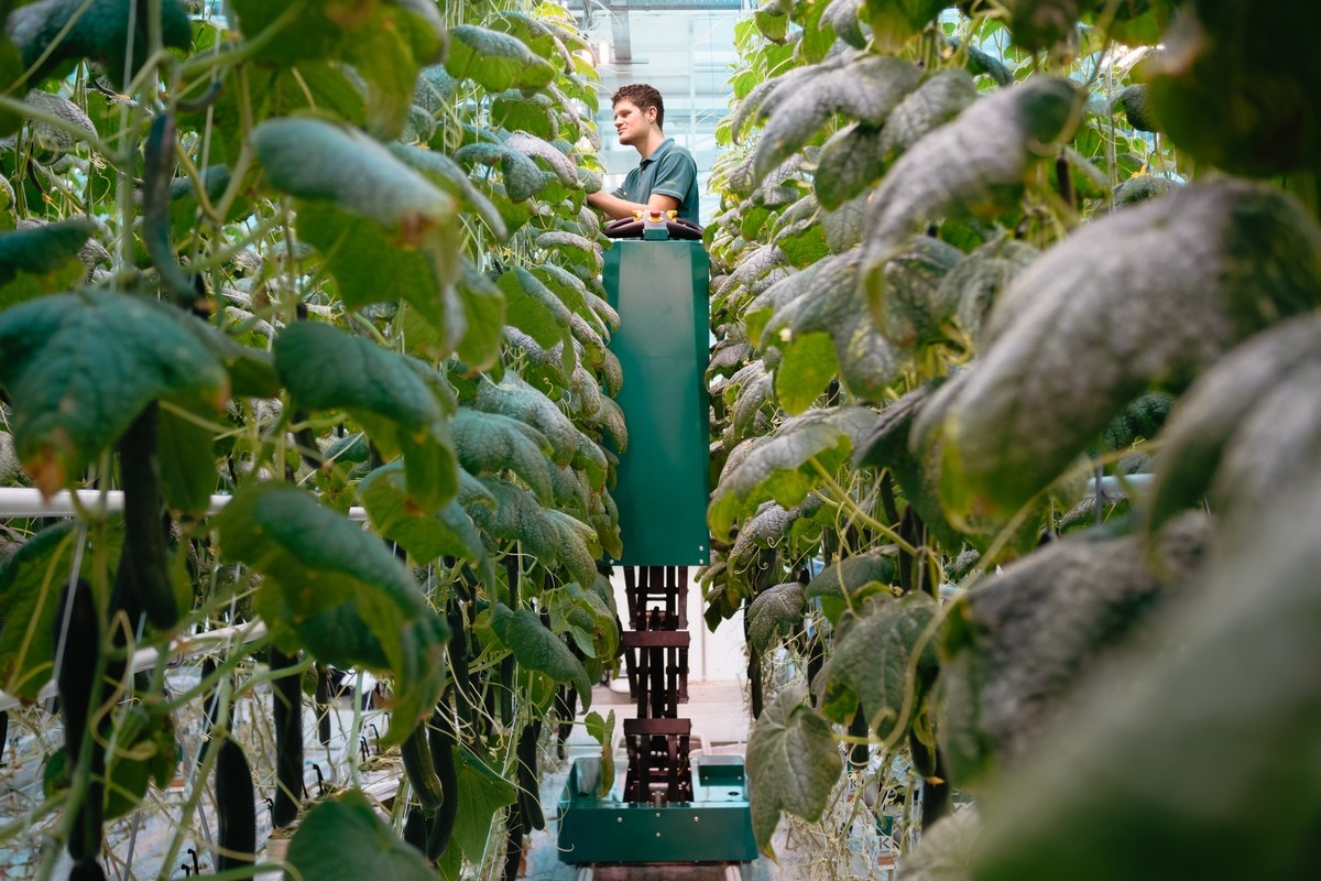 Metazet launches M-Service 3500: safe and efficient work at height