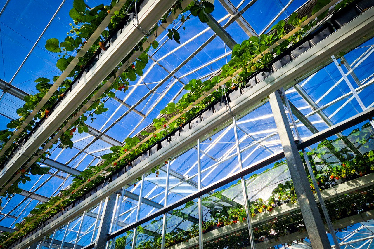 Studenten organiseren symposium ‘AI voor de tuinbouw van morgen’