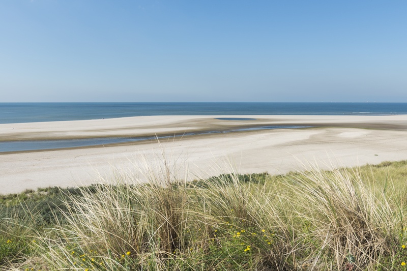 NL: Large-scale vegetable cultivation moving south from Westland