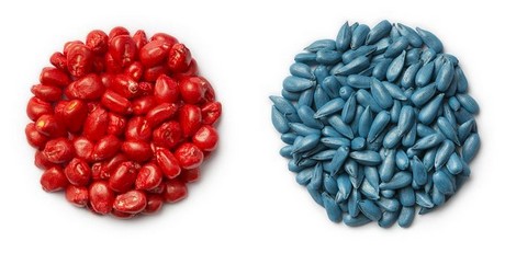 Incotec celebrates 50th anniversary at Seed meets Technology