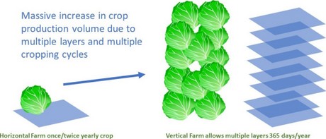 Vertical farming: does the economic model work?