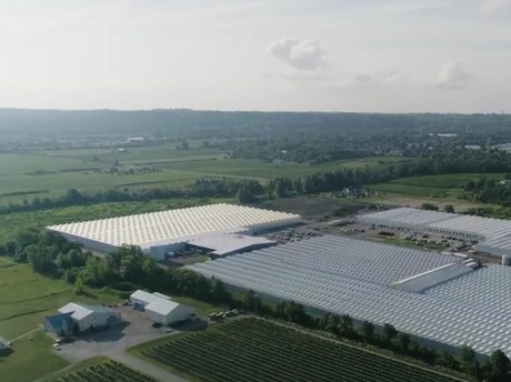 Canopy Growth to spend $115 million to grow marijuana in EU