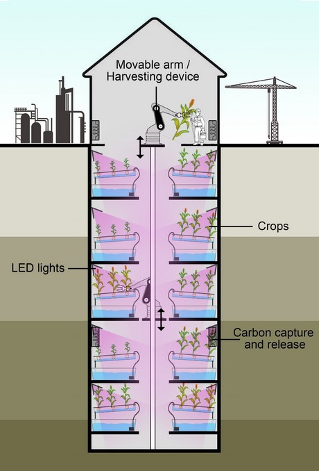 Is digging down the future of vertical farming?