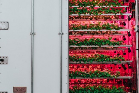 Advancements in automated commercial scale vertical farming