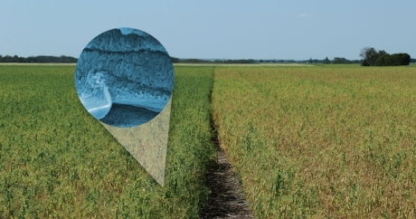 US (DE): UD-developed beneficial bacteria part of BASF product for soil