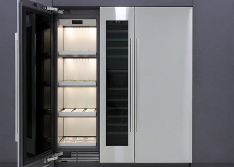 Growing vegetables in your fridge