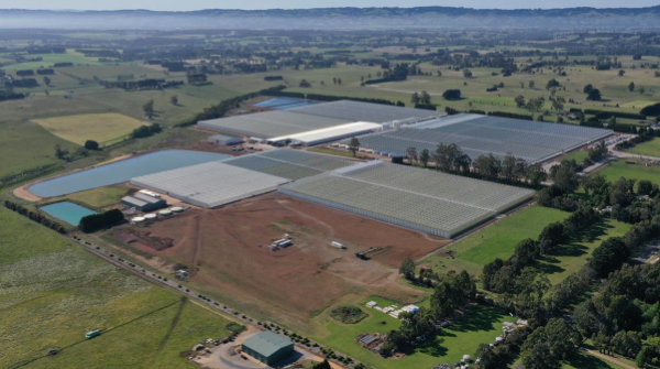 Flavorite ziet investeerder instappen en wordt 'Flavorite Group'