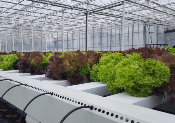 "The demand for horticultural solutions changes"
