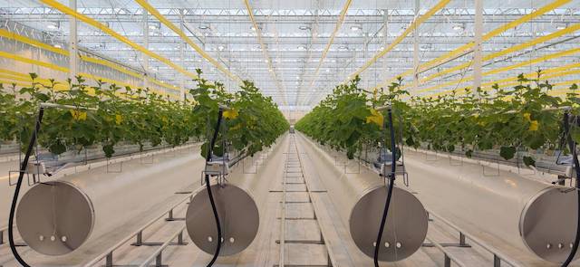 "Horticultural projects in China: High-tech and scalable"