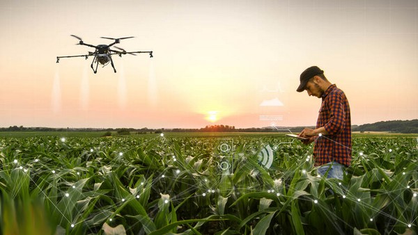 Virtual company tour of SMART agriculture attracts Japanese interest