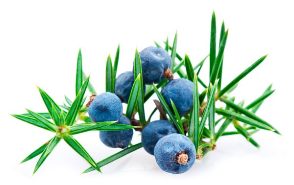 Russia had a record harvest of fruit and berries last year