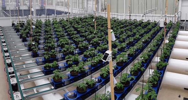Hortidaily: global greenhouse news