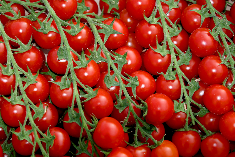 Tomato crisis and the role of innovative seed technologies