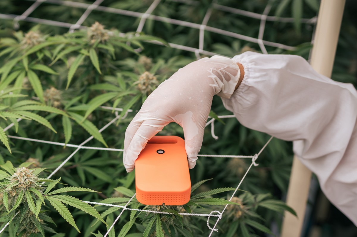 US (HI): Thousands to be impacted by new regulations