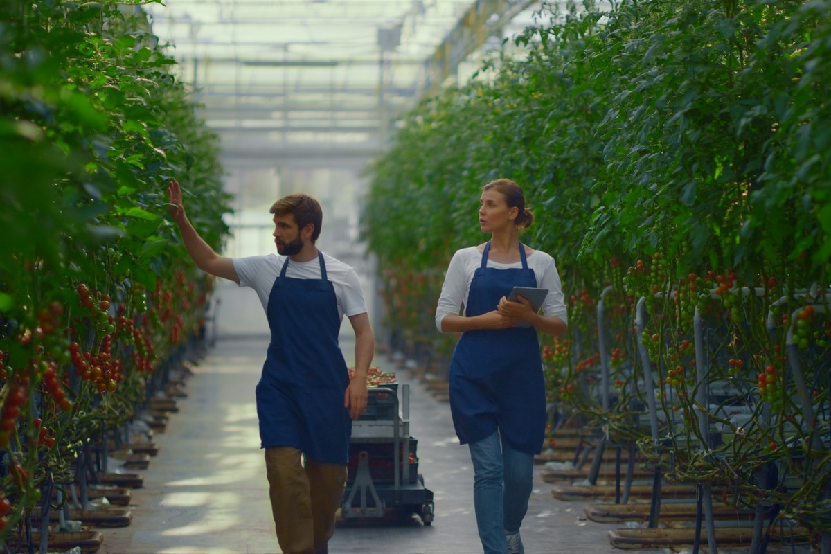 UK: Surrey council endorses 2026 agritech strategy