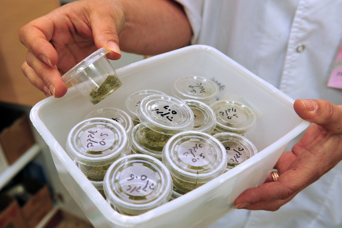 French cannabis medtech Overseed raises €6.7M
