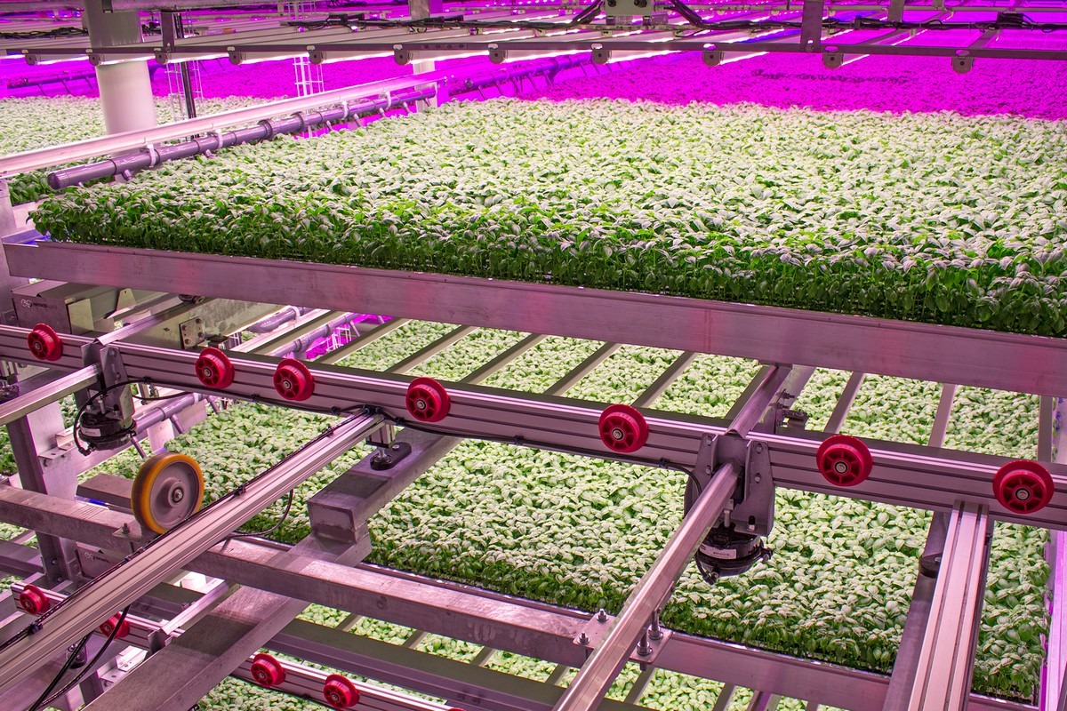 80 Acres Farms co-founder to speak on future of CEA