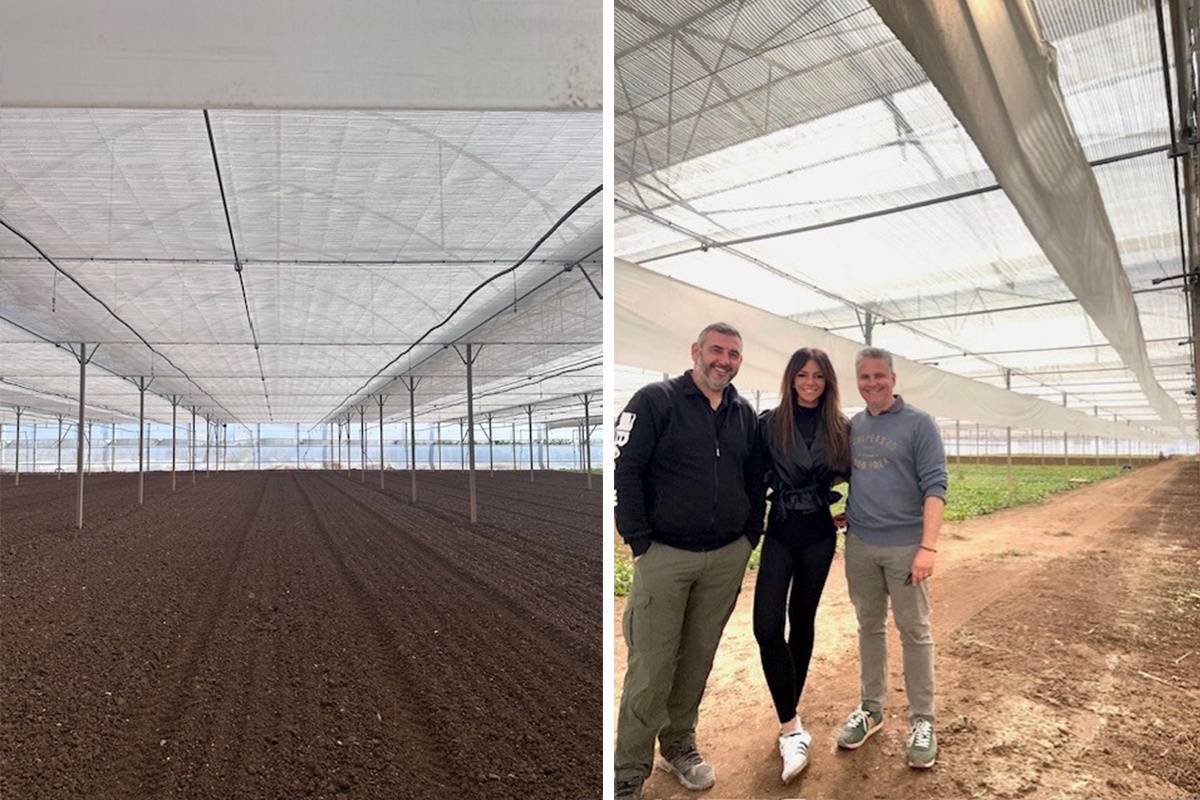 Finca El Saladar Boosts Asian vegetables production