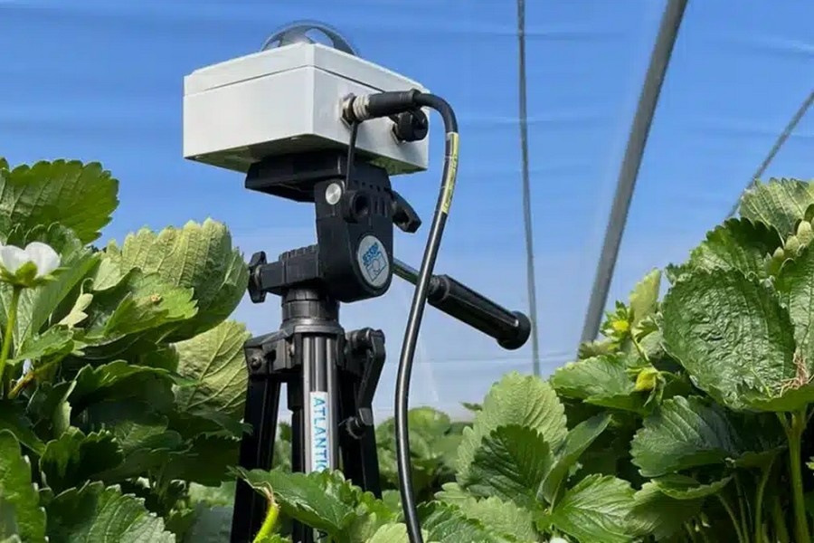 UK: Using a solar sensor to aid in the growing process