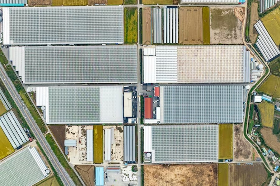WDG Farm begins construction of largest smart farm complex in South Korea