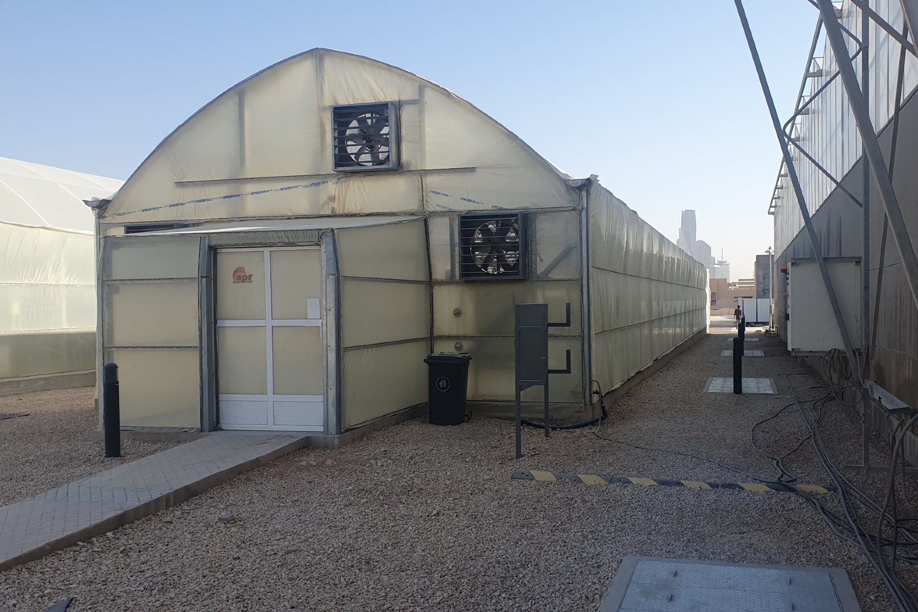 Looking at greenhouse practices for better stigma yield and corm ...